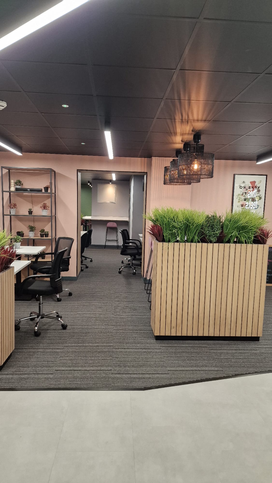 Transforming Student Spaces: An Insight into Alan Cox Decorators ...